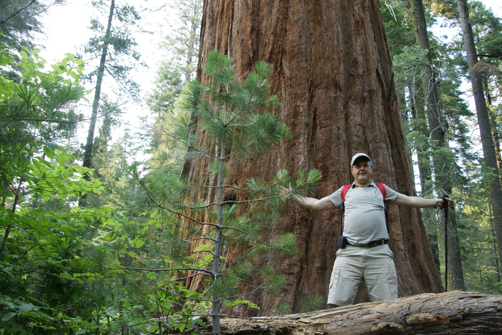 California, Calaveras County & Yosemite NP, Aug, 2009