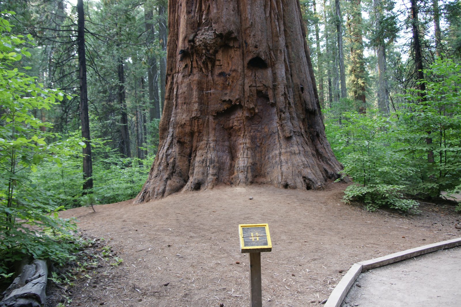 California, Calaveras County & Yosemite NP, Aug, 2009