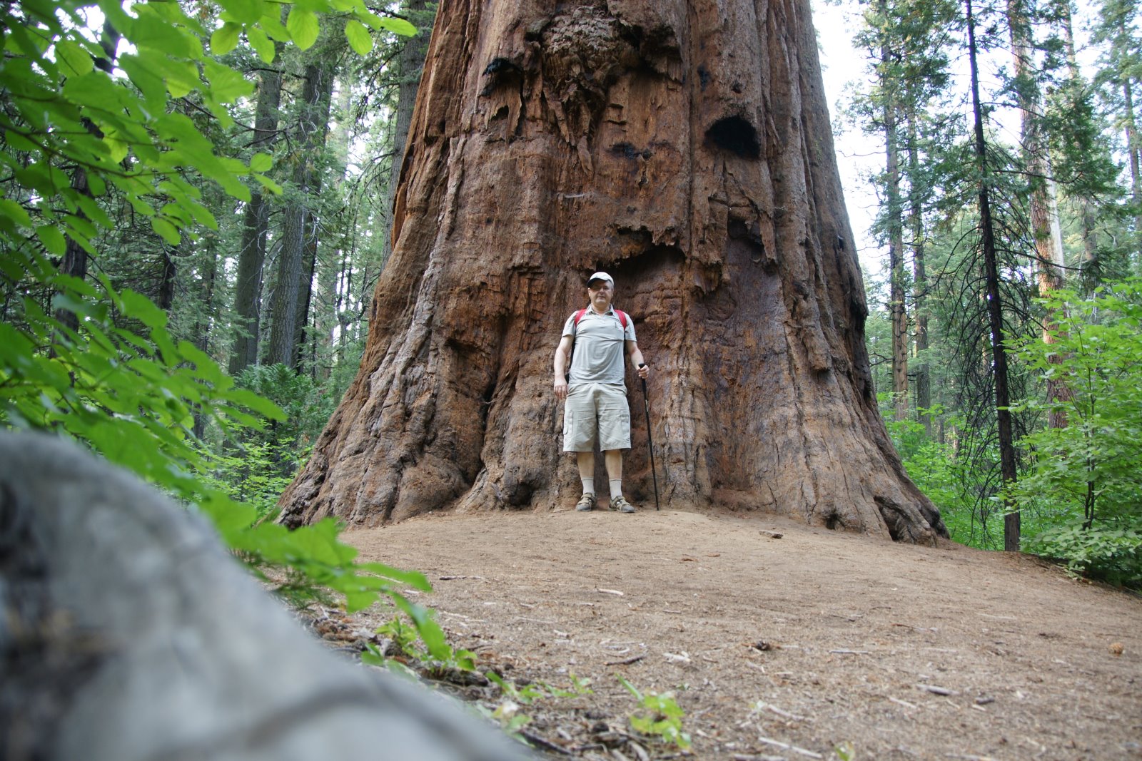 California, Calaveras County & Yosemite NP, Aug, 2009